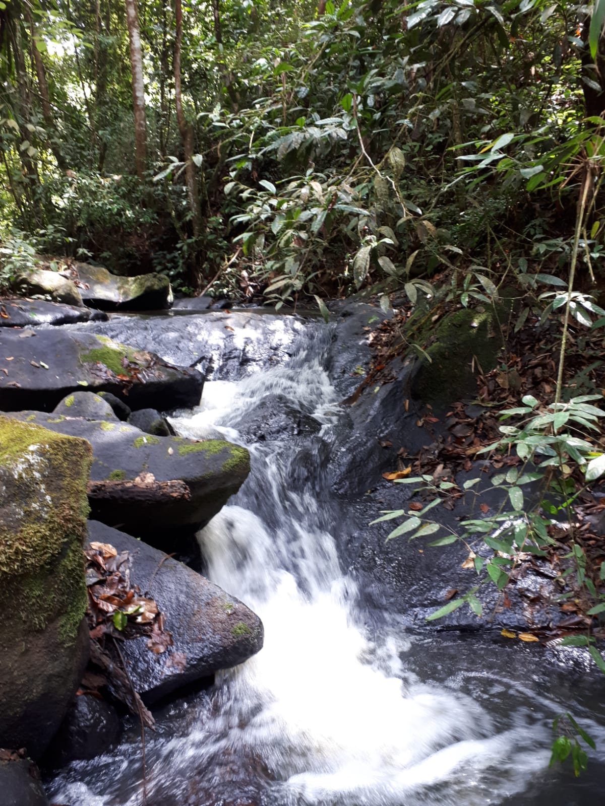1 semaine en pays Wayana et descente du Maroni – GUYANE TREK