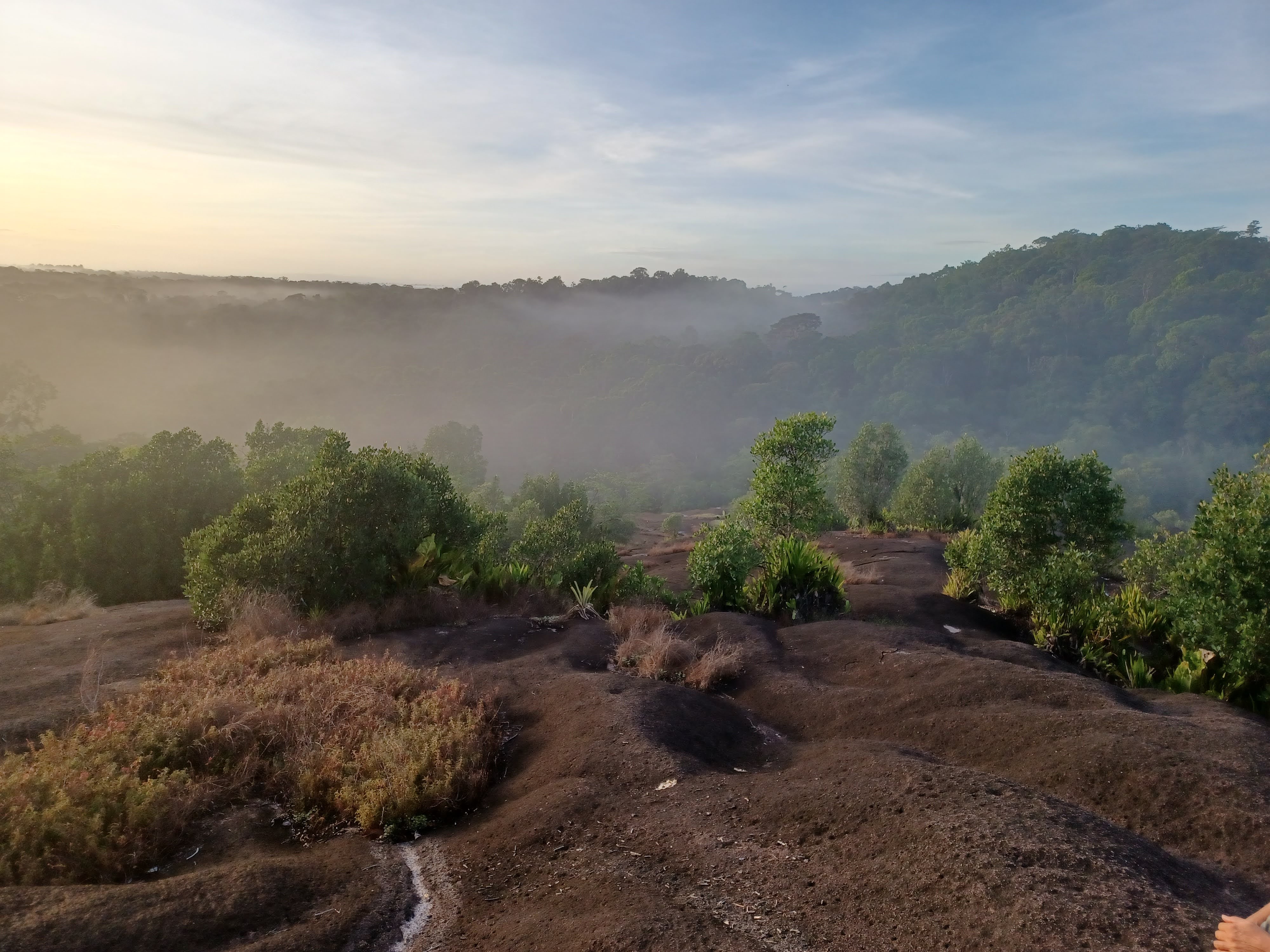 Saut Maripa et Savane-Roche Virginie – GUYANE TREK