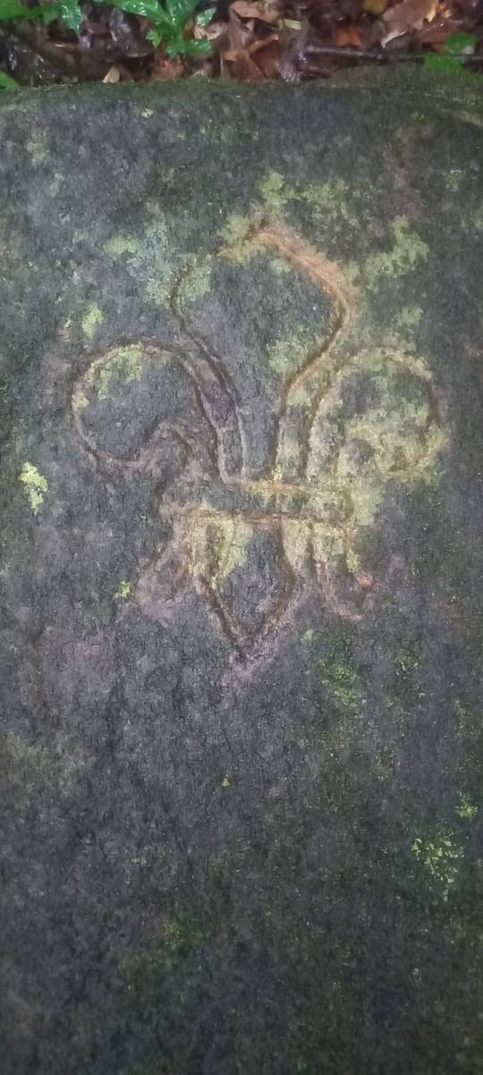 2024_04_21 Montagne Anglaise. – GUYANE TREK