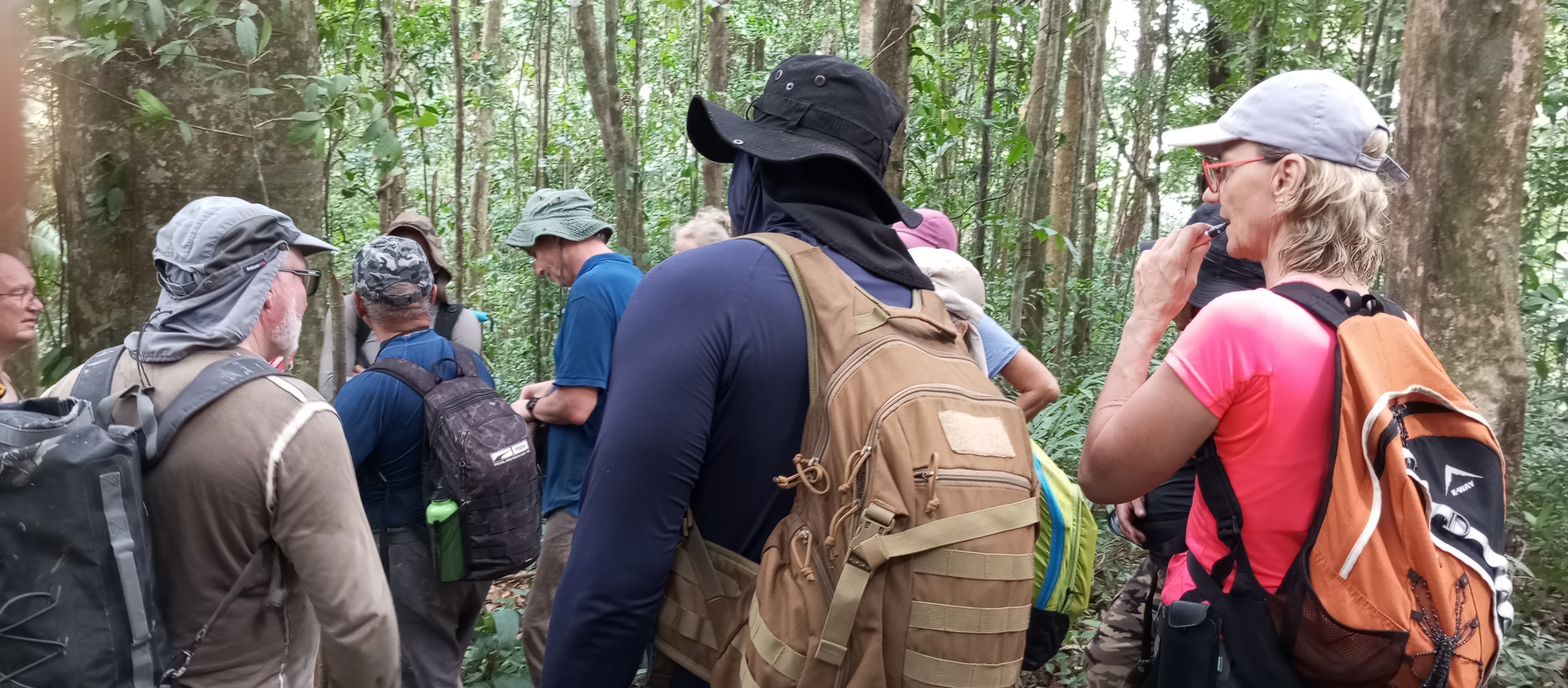 Montagne Anglaise 12 janvier 2025 – GUYANE TREK